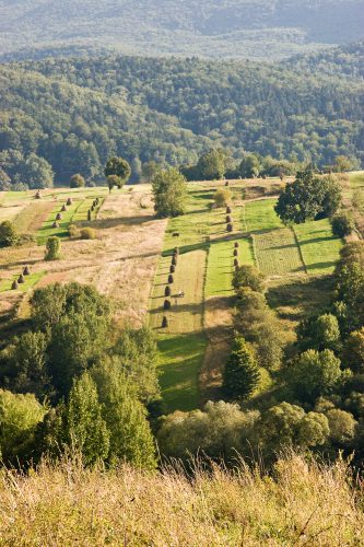 Beautiful Free Stock Photos and Images for any project - Freepixels.com